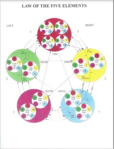 Acupuncture 5-Element Meridian Chi Flow Chart – Visceral Biomechanics